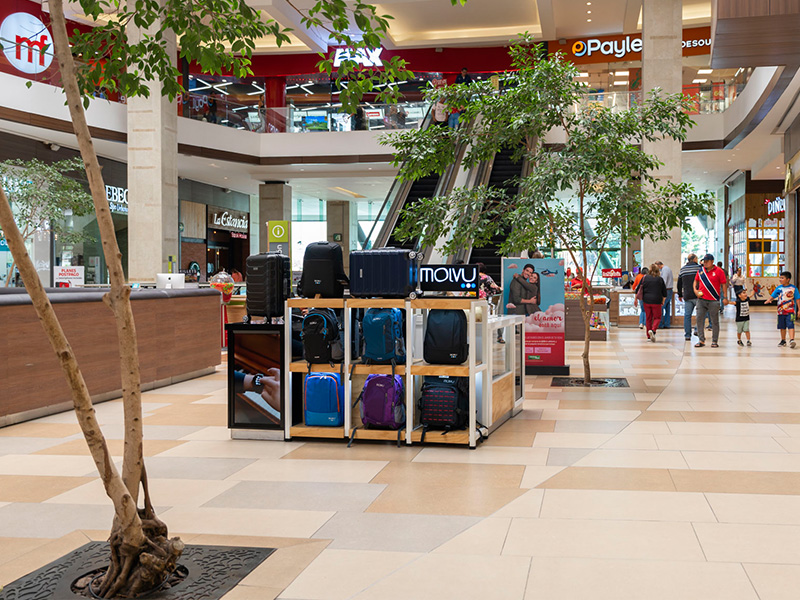 Tiendas Oficiales de Molvu